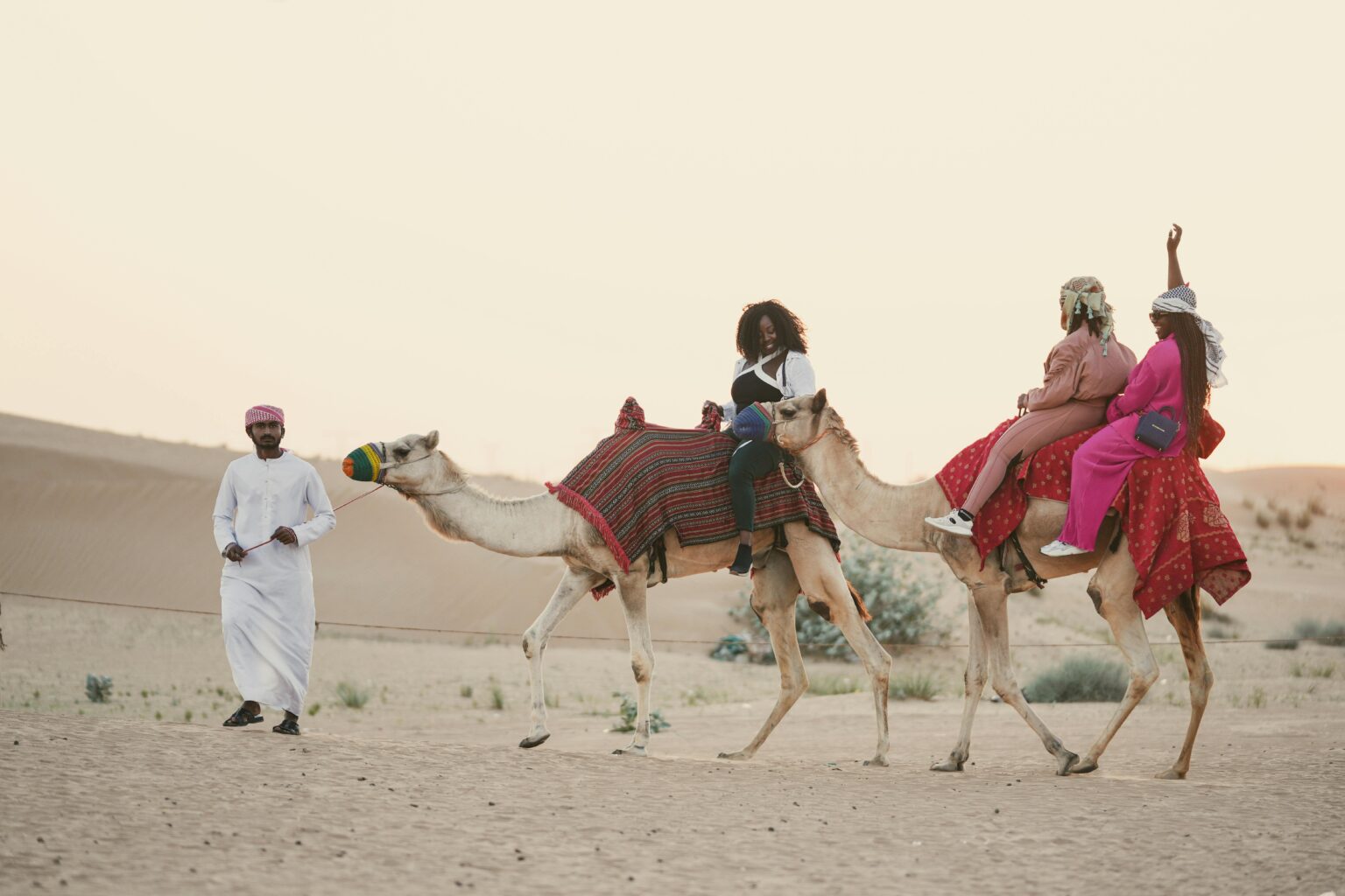 Guide to the Thar Desert – India’s Great Golden Land - Deserts India