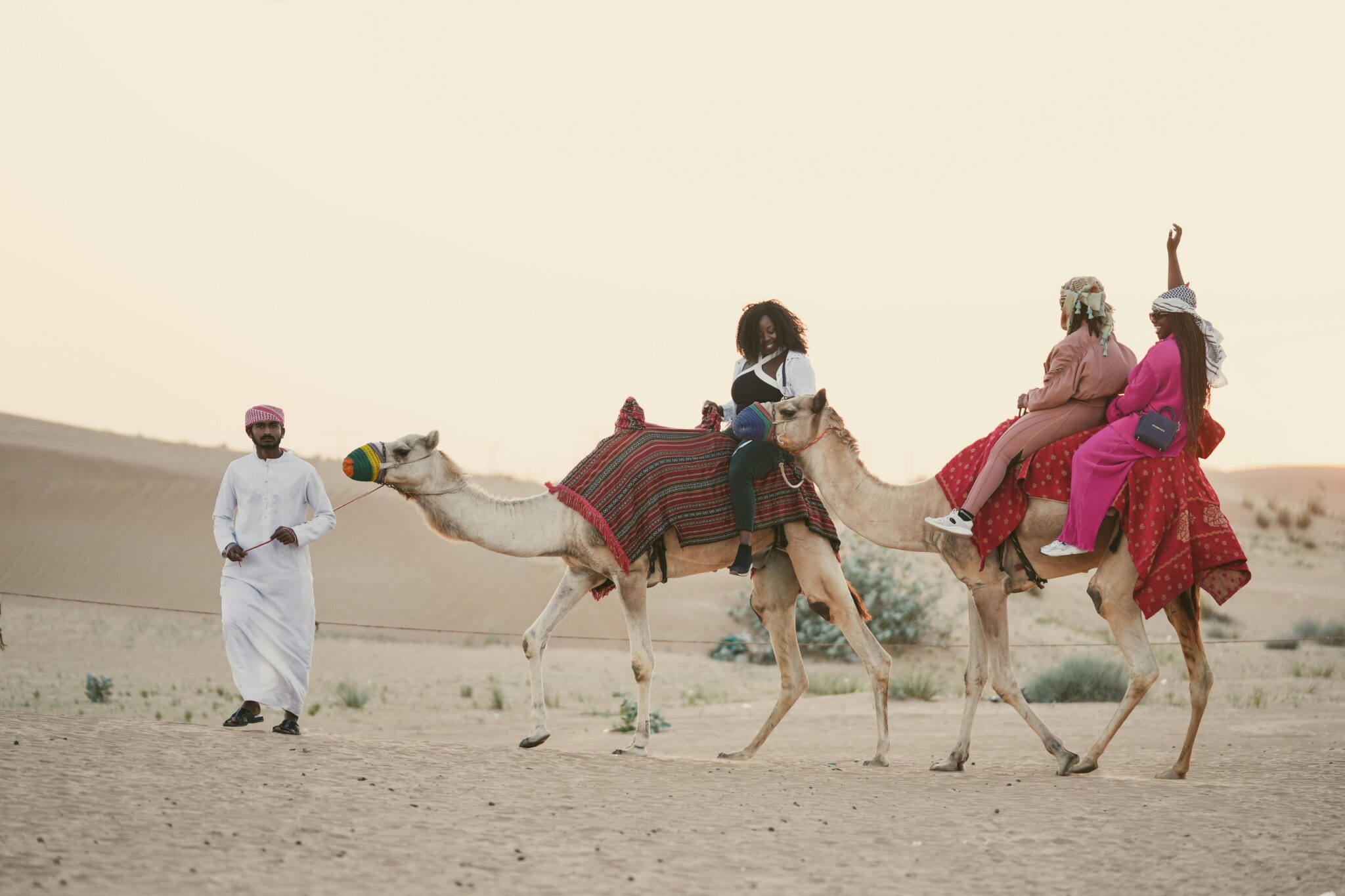 Guide to the Thar Desert – India’s Great Golden Land - Deserts India