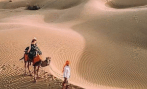 Guide to the Thar Desert – India’s Great Golden Land - Deserts India
